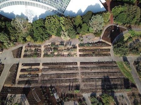 National Rose Society of Australia